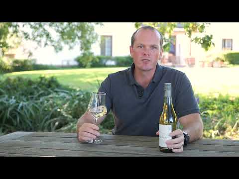 Chardonnay – Lautus De-Alcoholized Wines US